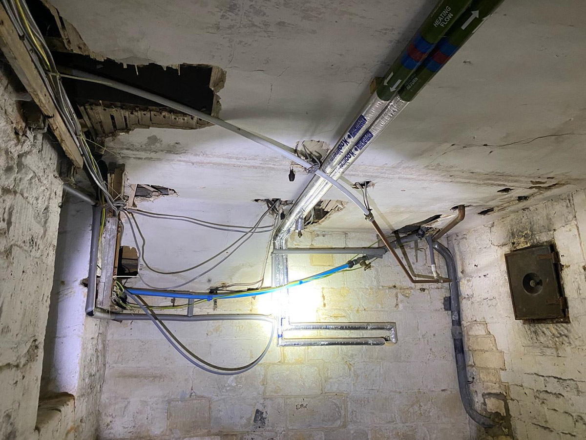 Bats in the Belfry… But What’s in Your Basement?