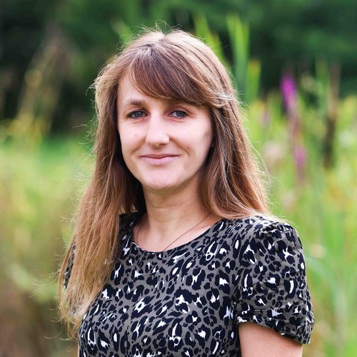 About Us | Ecology by Design